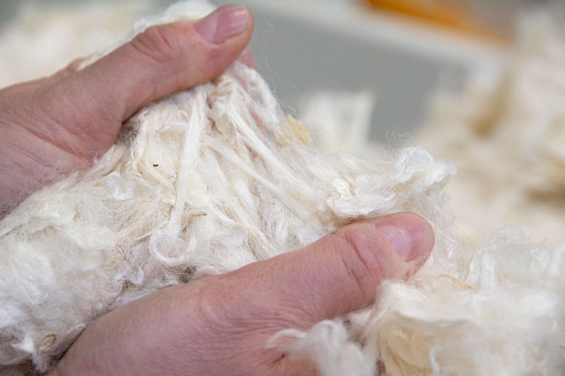 Filz Qualität für Industrie und Gewerbe - The Felt Store Europe GmbH ...